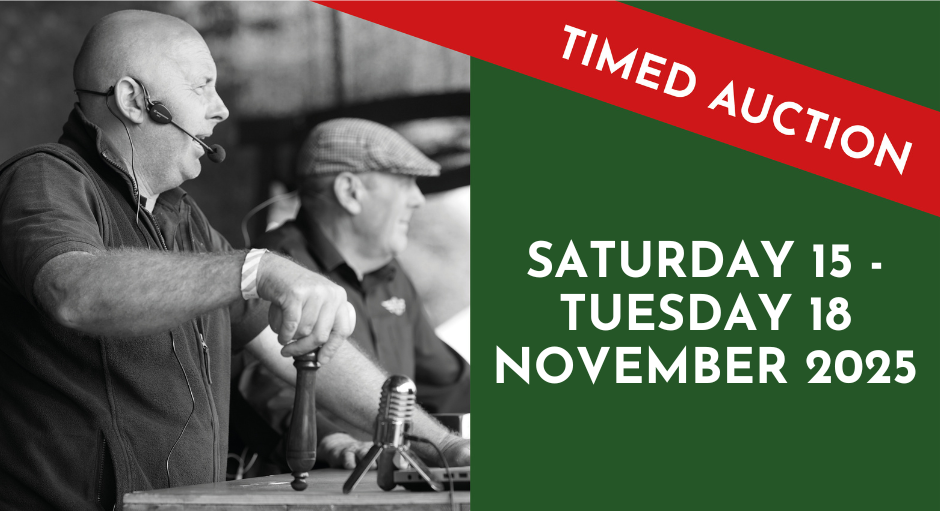 November Timed Auction