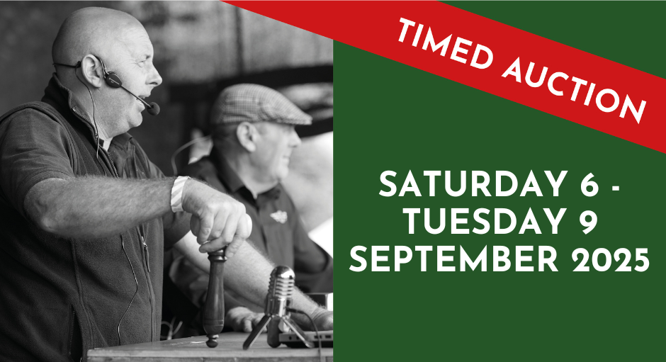 September Timed Auction