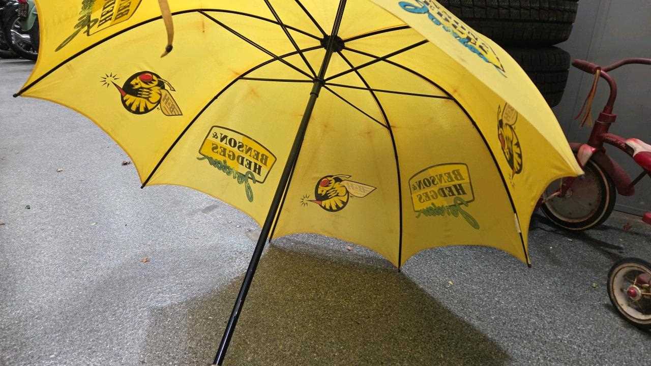 Lot 210 - JORDAN RACING UMBRELLA WITH BUZZIN HORNET