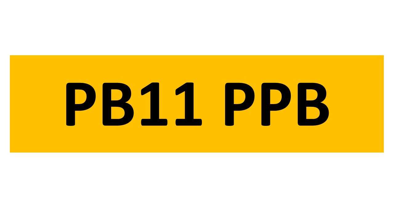Lot 552 - REGISTRATION ON RETENTION - PB11 PPB