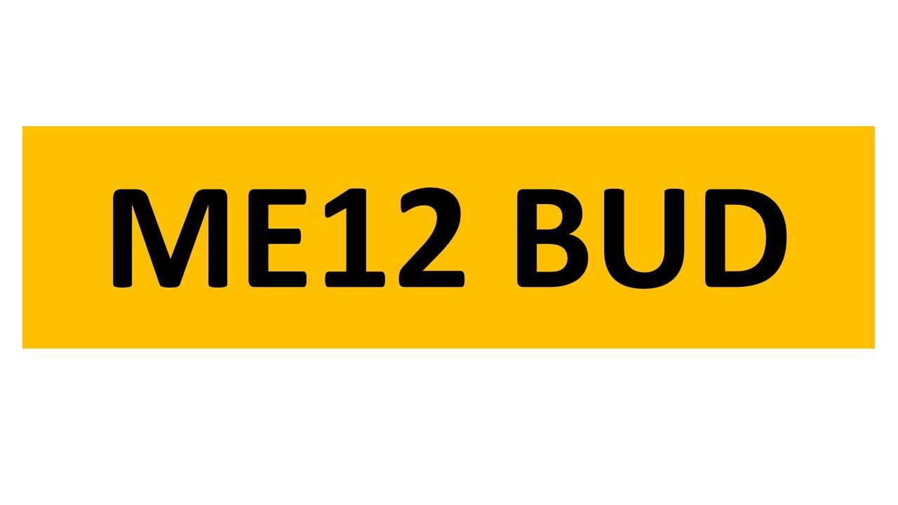 Lot 12 - REGISTRATION ON RETENTION - ME12 BUD